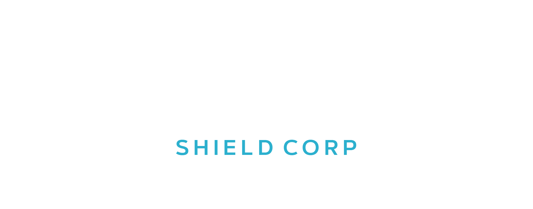 Pinnacle Shield Corporation - Cybersecurity Consulting & Custom ...